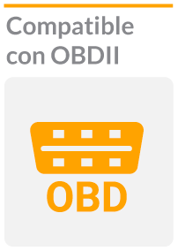 Diagnóstico CAN/OBD en plataforma